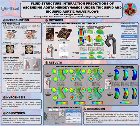 Pdf Fluid Structure Interaction Predictions Of Ascending Aorta