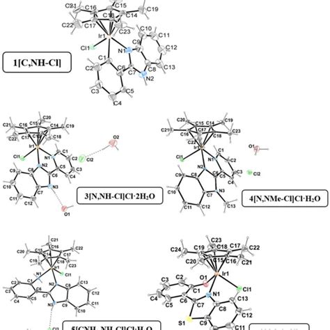 Ortep Diagrams For Complexes 1[c Nh Cl] 3[n Nh Cl]·2h2o Download