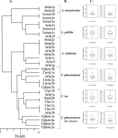 Cluster Analysis Average Linkagealgorithm Euclidean Similarity