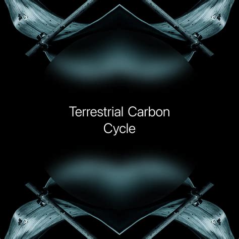 Terrestrial Carbon Cycle → Term