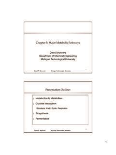 Chapter Major Metabolic Pathways Chapter Major Metabolic Pathways Pdf PDF PRO