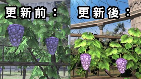 閒聊 Ff14 70上線 畫質翻新卻保留低面數葡萄 Ptt評價