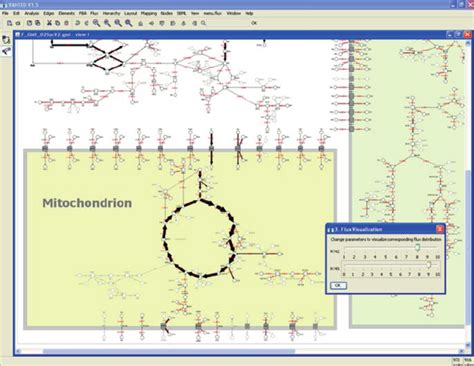 Visualization Of Flux Distribution In A Model Of Barley Seed Metabolism Download Scientific