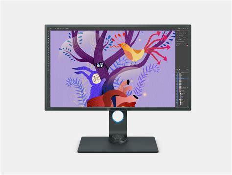 Five Best Monitors For A Graphic Designer Amadine Useful Articles