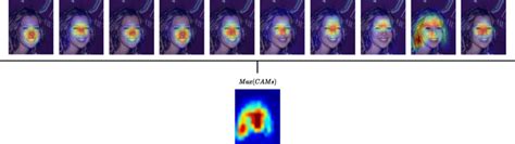 Pipeline For Generating The Attribute Attention Map Aam For An Download Scientific Diagram