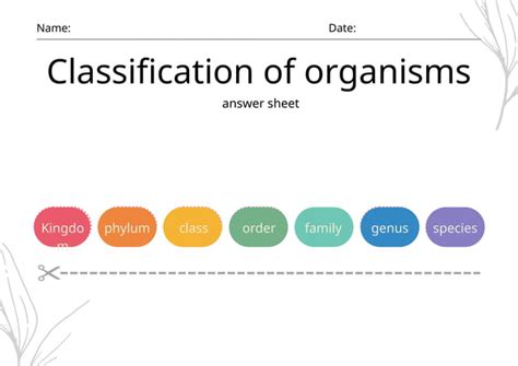 Classifying Organisms Digital And Printable Taxonomy Worksheet Pptx Biological Sciences Science