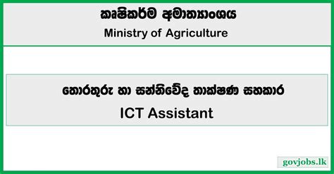 Ict Assistant Ministry Of Agriculture Job Vacancies 2024 Govjobslk