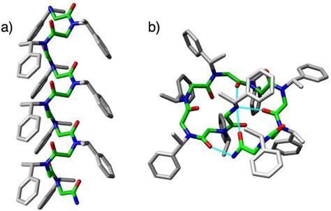 Structure Function Relationships In Peptoids Recent Advances Toward
