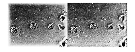 homomorphic filtering part 2 steve on image processing with matlab