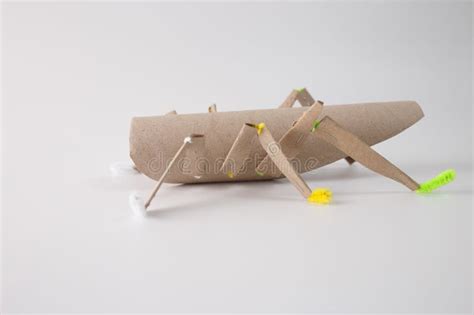 Grasshopper Craft Model Created With Cardboard Tube And Additional