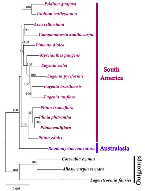 Maximum Likelihood Phylogenomic Relationship Among Species Of Tribe