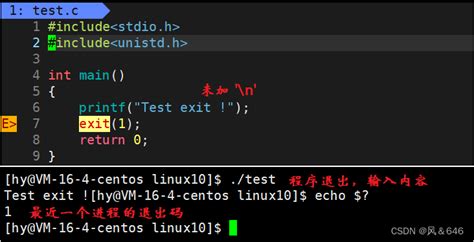 linux进程控制（进程终止 进程等待 进程程序替换） linux换行执行大量指令停止 csdn博客