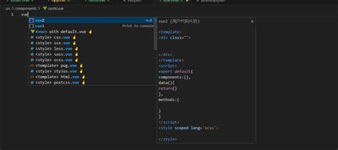 Vscode基础配置与插件vue保存自动格式化设置在哪 Csdn博客