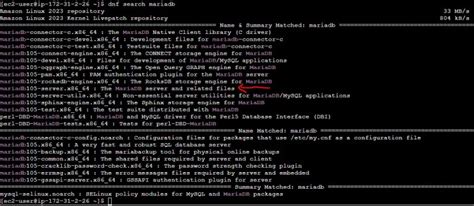 How To Install Mariadb On Amazon Linux 2023 Cloudkatha
