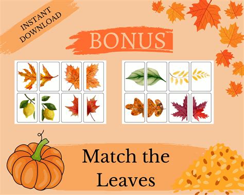 Autumn Flashcard Set Printable Learning Cards For Fall Etsy