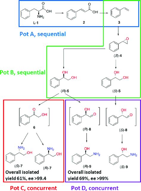 Summary Of The Biocatalytic Pathways Developed In This Work And Related