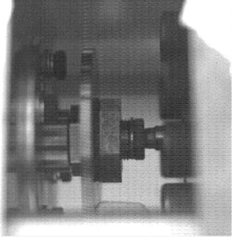 Images After Gray Processing Download Scientific Diagram