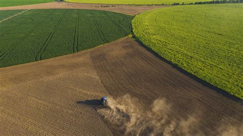 Земеделци Няма да има повишение на цената на олиото и хляба Nova News