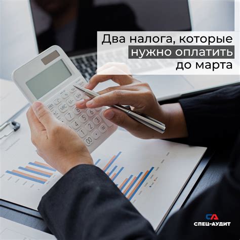 Фирма Спец Аудит С этого года декларации по транспортному и земельному налогам подавать не