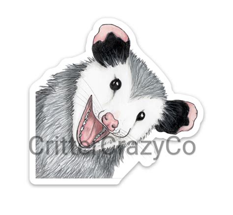Peek A Boo Opossum Magnet Large Etsy