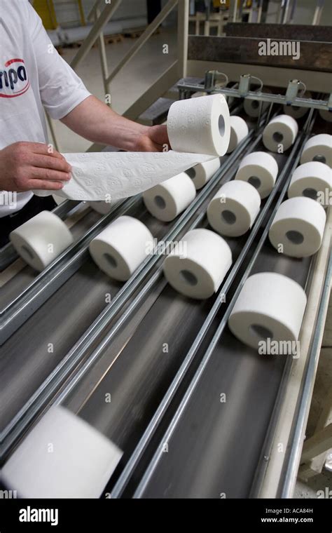 Toilet Paper Factory Video At Ellie Roseby Blog