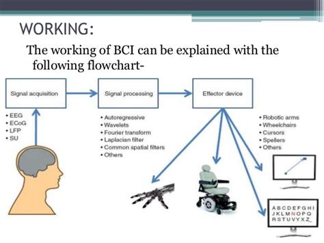 brain computer interfaces