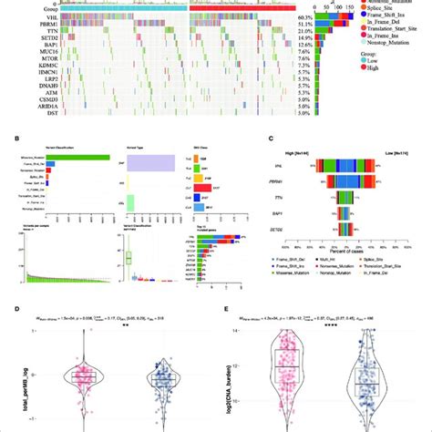 Somatic Variant Analysis Between High And Low Risk Groups In Tcga Download Scientific