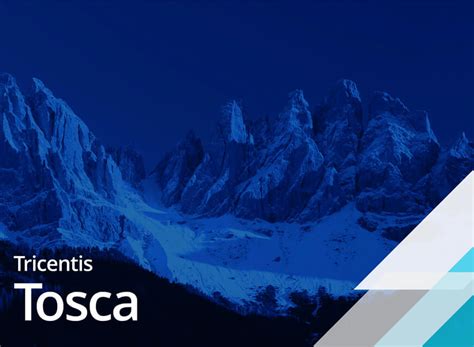 Tricentis Tosca Fundamentals − Automating Sap Testing