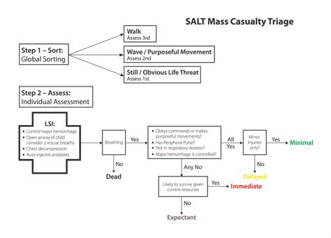 Triage Algorithm Protocols
