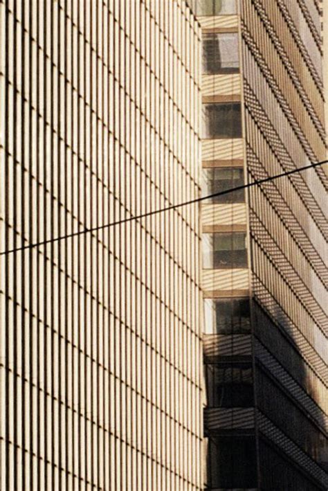 Golden Hour Array Canon F1n 50mm F14 Fujicolor 100 Ranalog