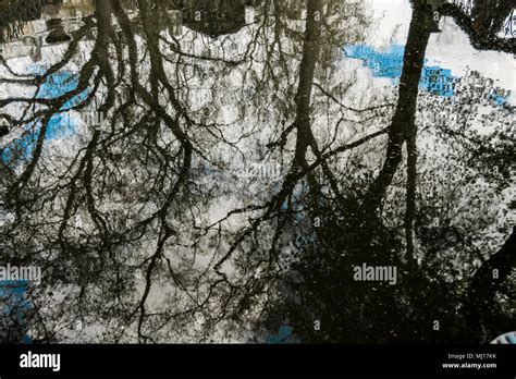 Tree Reflection In Water Stock Photo Alamy