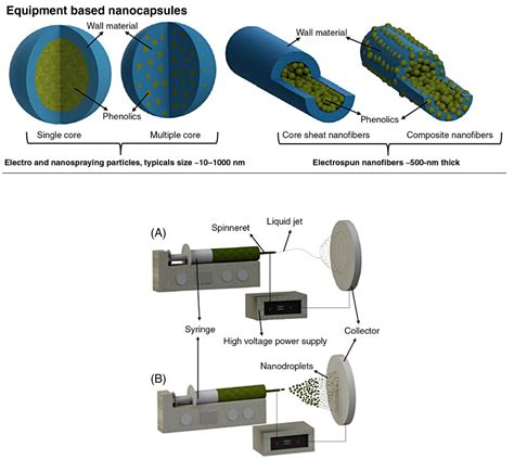 Applied Sciences Free Full Text Nanoencapsulation Of Essential Oils