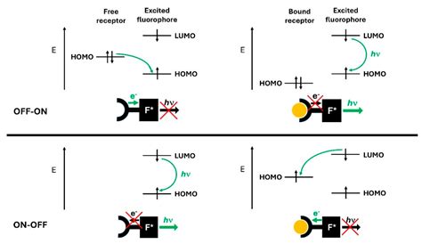 Recent Advances In Calixarene Based Fluorescent Sensors For Biological