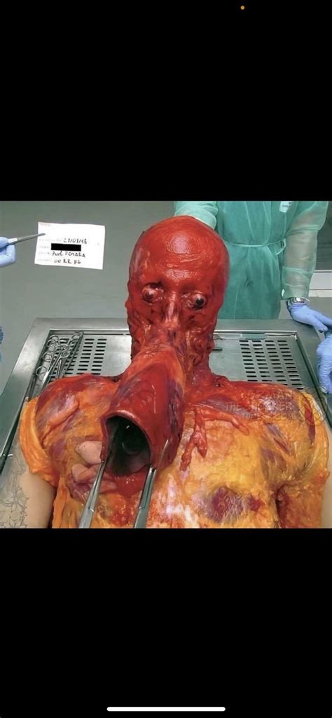 Can Someone Please Explain This R Nsfl