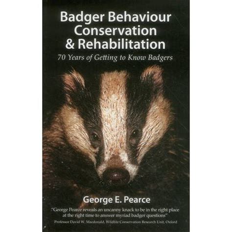 Badger Behaviour Conservation And Rehabilitation 70 Years Of Getting