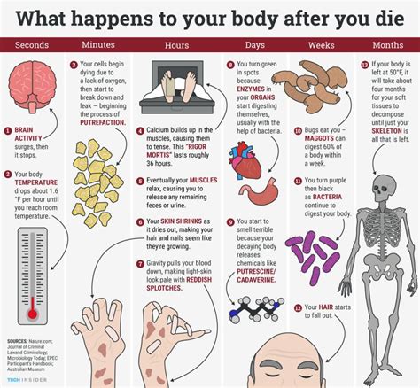 What Happens To Your Body After Death About Islam
