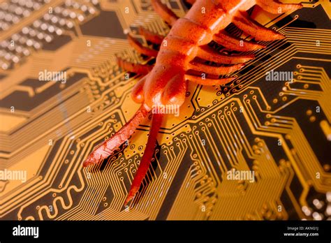 Digital Close Up Photograph Of A Computer Circuit Board With A Bug Crawling Over It Stock Photo