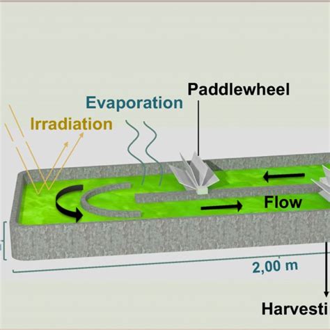 Main Systems Of Microalgae Cultivation A Pbrs Closed Systems And B