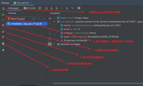 Python 超详细图文教你调试代码 调试技巧 无涯教程网