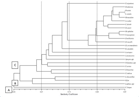 Upgma Dendrogram Displaying The Species Genetic Distance And Similarity