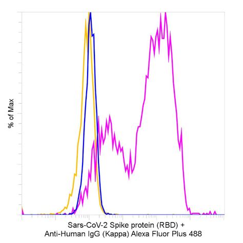 Goat Anti Human Igg Kappa Light Chain Alexa Fluor™ Plus 488 A56865