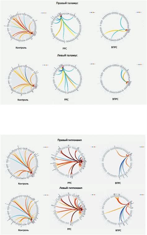 Differences Between The Functional Connections Of The Thalamus In