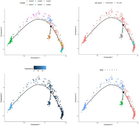 The Trajectory Analysis Of The Cell Samples Download Scientific Diagram
