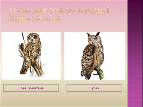 Червона книга України 3 клас презентация онлайн