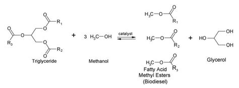 Transesterification Reaction Of Vegetable Oil Triglyceride And Download Scientific Diagram