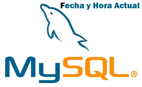 Como Obtener La Fecha Actual En Mysql Now Curdate