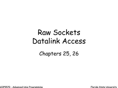 Ppt Raw Sockets Datalink Access Powerpoint Presentation Free
