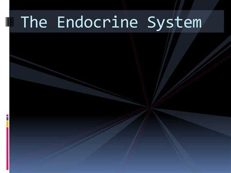 Introduction To Endocrine System Ppt