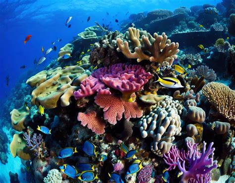 How To Save A Pandas Dataframe To Redshift Locally By Filipa Medium