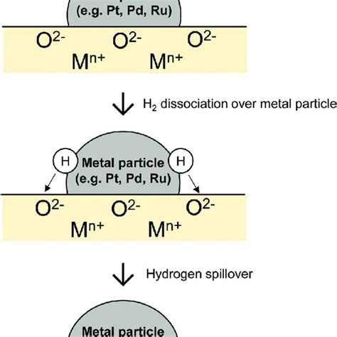 Schematic images of spillover of H atoms from metal particles to... | Download Scientific Diagram